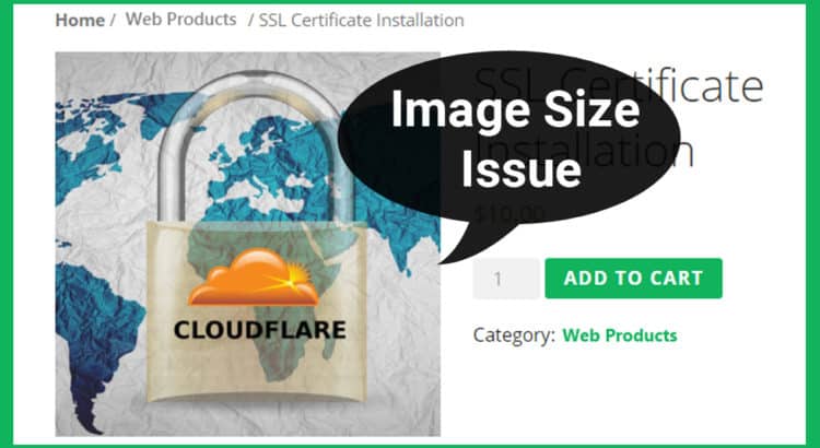 How To Resize Woocommerce Product Image Size | DDGPRESS